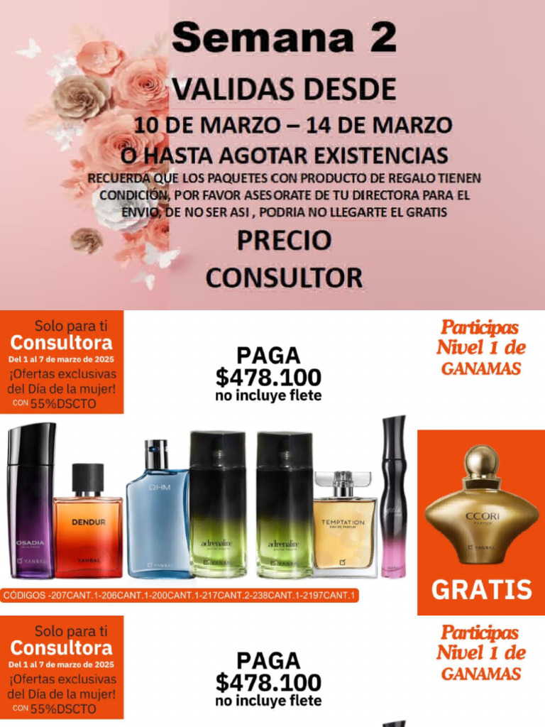 Paquetes S2 - C3 Peecio Consultor | PDF