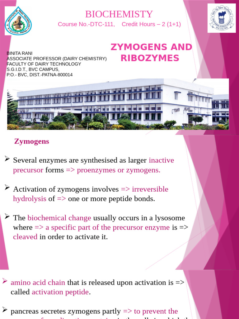 Biochem Zymo Ribo | PDF | Proteolysis | Rna
