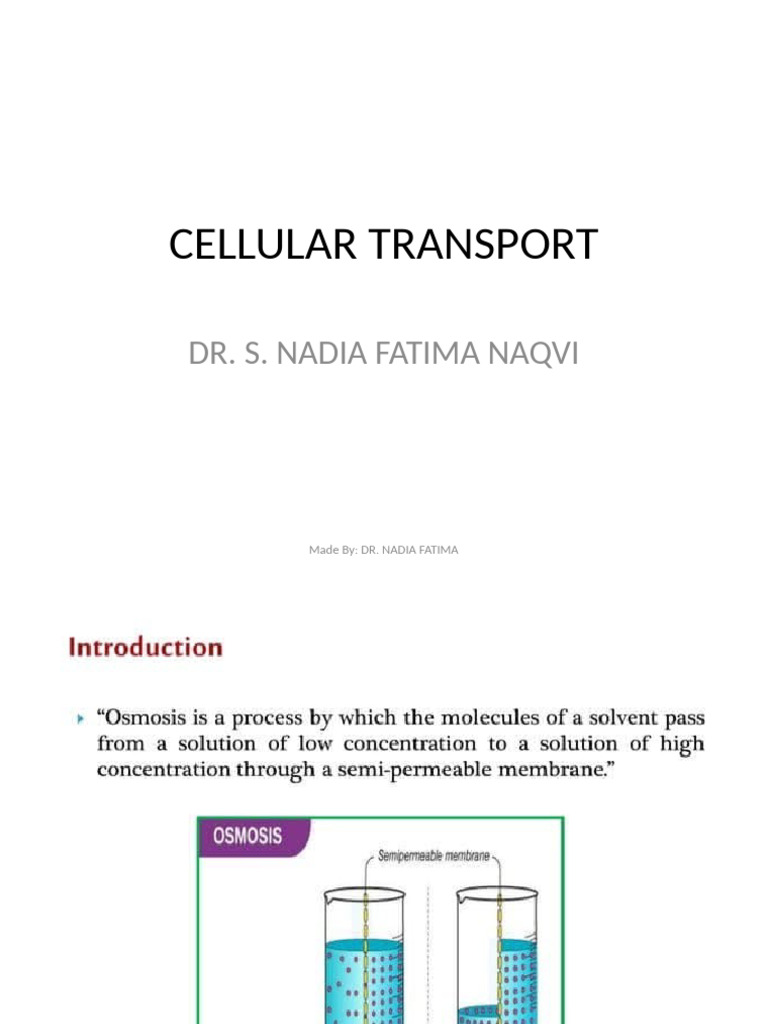 Cellular Transport | PDF