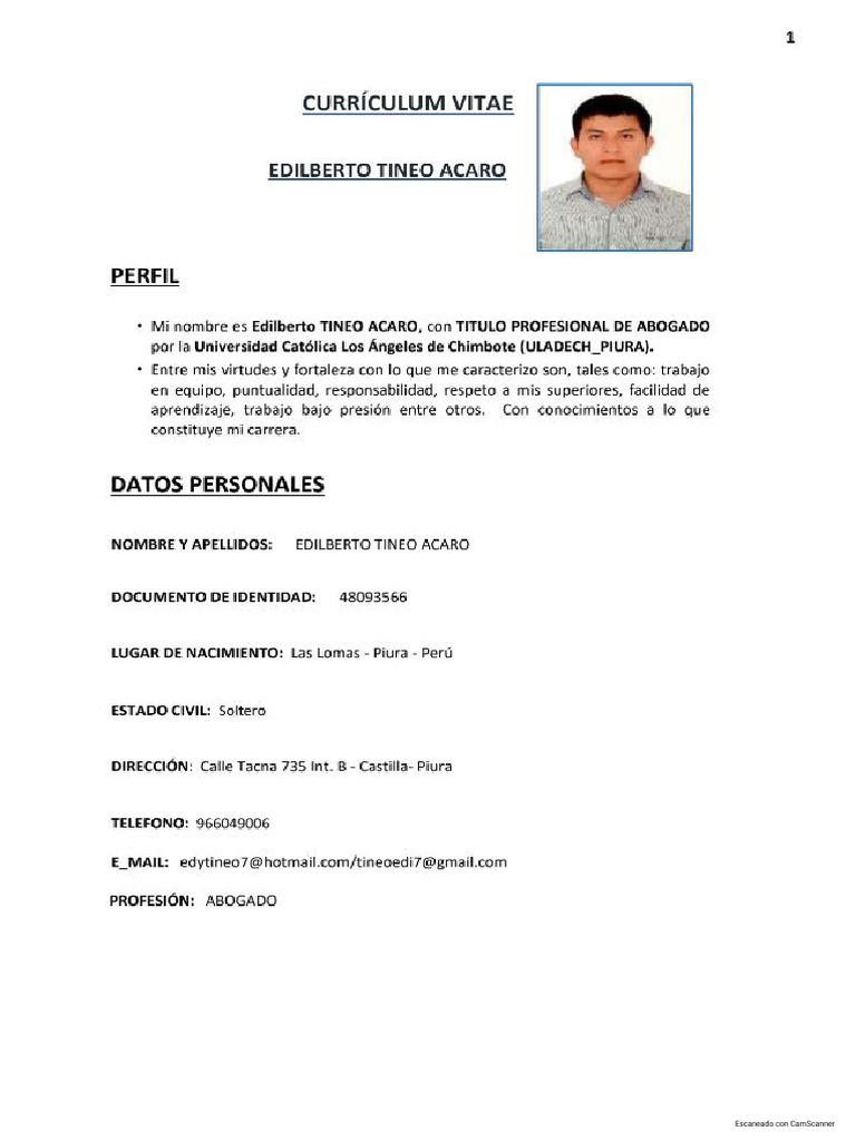 CV. EDY TINEO A. 2023-ACTUALIZADO-14.11.2023 (3) | PDF