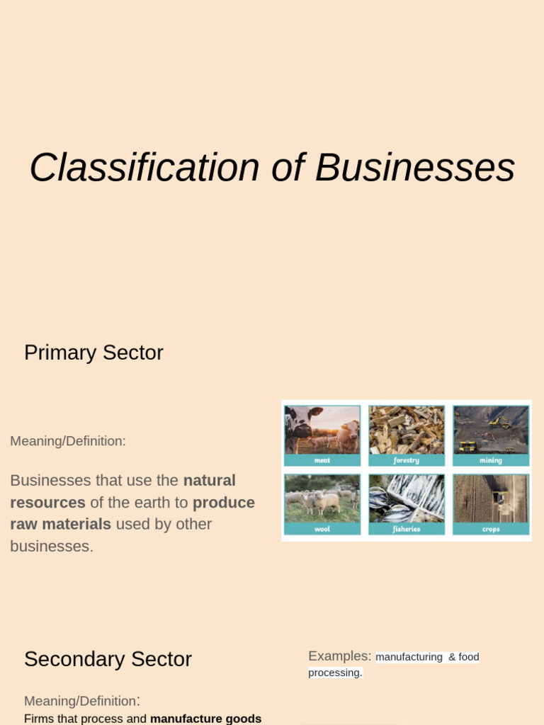 Chapter 2 - Classification of Businesses | PDF