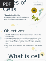 Specialised Animal Cells - Living Organisms - KS3 Biology - BBC ...