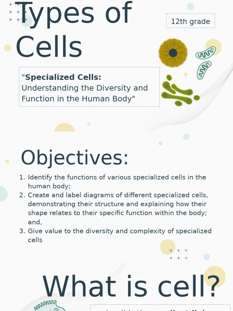 Specialized Cell Functions in Humans | PDF | Bone | Osteoblast