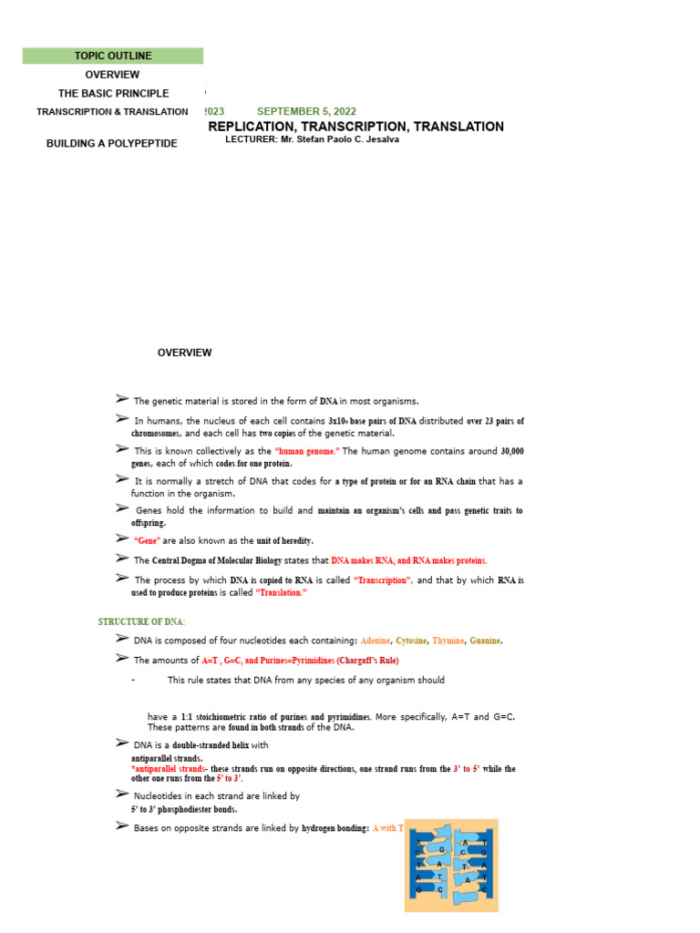 Cyto Transcription Translation Replication Rev | PDF | Dna Replication ...