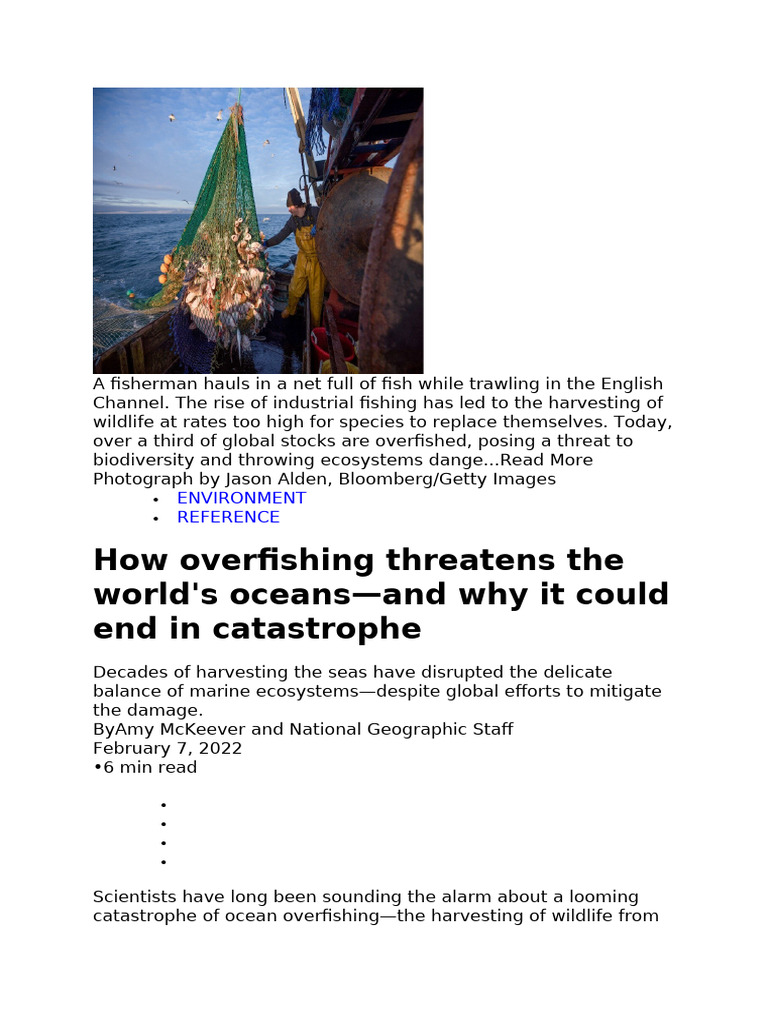 A Fisherman Hauls in A Net Full of Fish While Trawling in The English ...