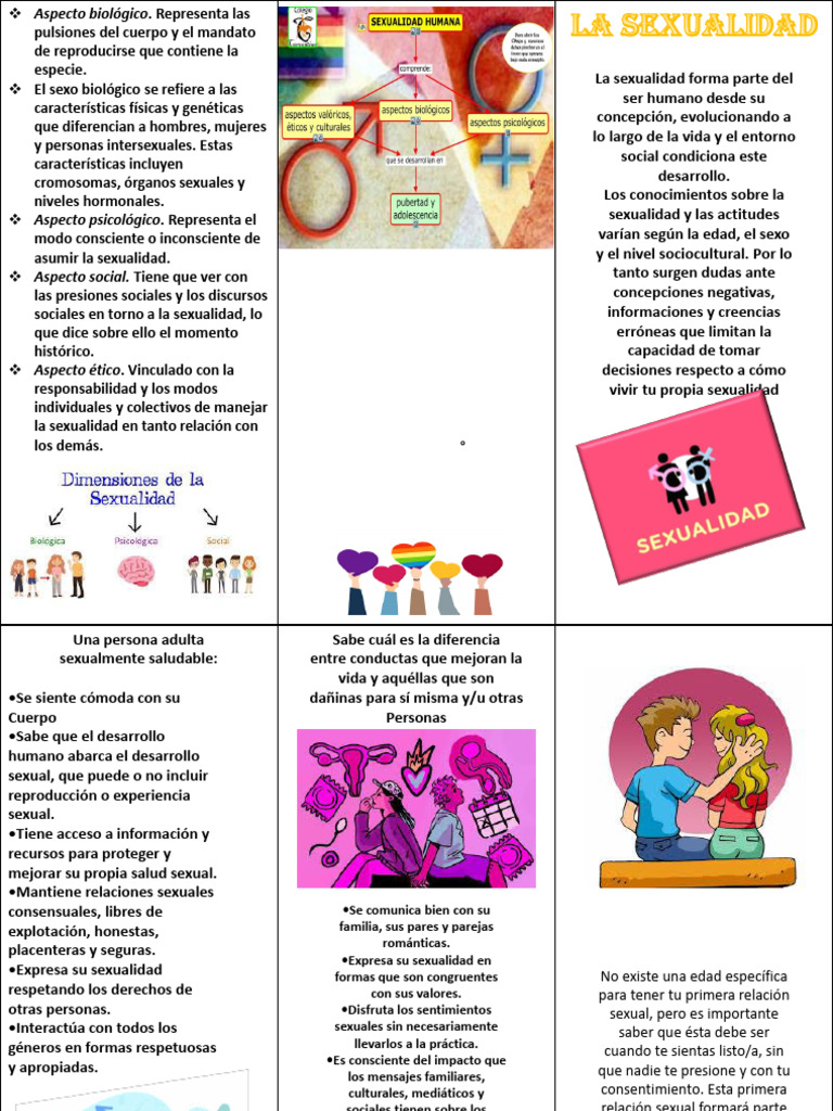 Triptico Sexualidad | PDF | La sexualidad humana | Sexo