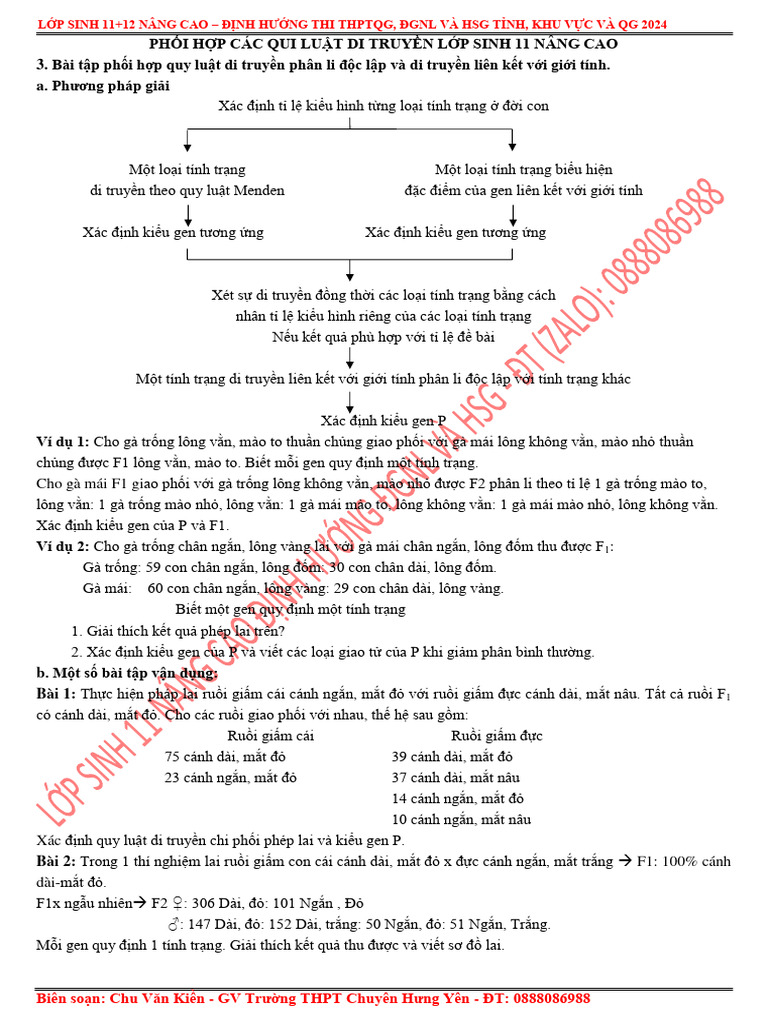 Phương Pháp Giải Bài Tập Phối Hợp Các Qldt Hsg 2025 Lần 2 Chuẩn | PDF