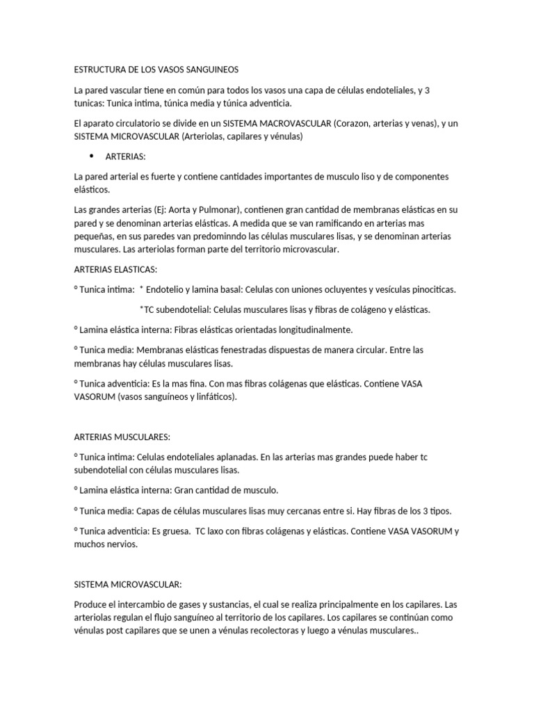 ESTRUCTURA DE LOS VASOS SANGUINEOS | PDF | Artería | Capilar