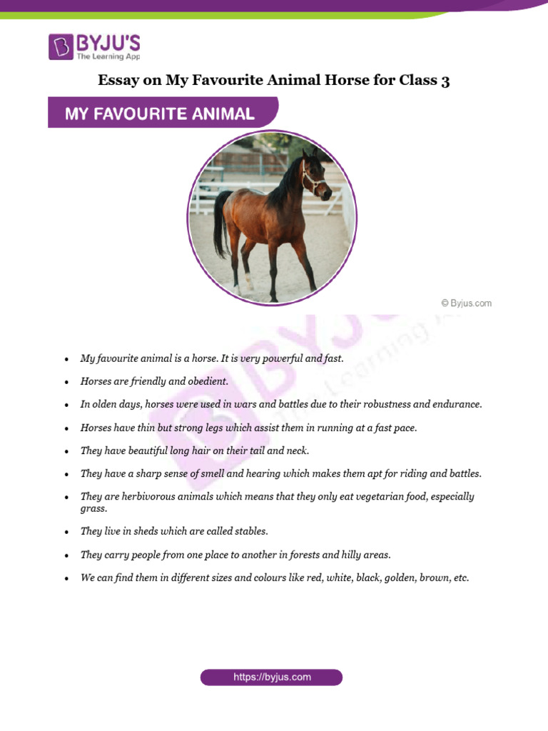 My Favourite Animal: The Horse | PDF