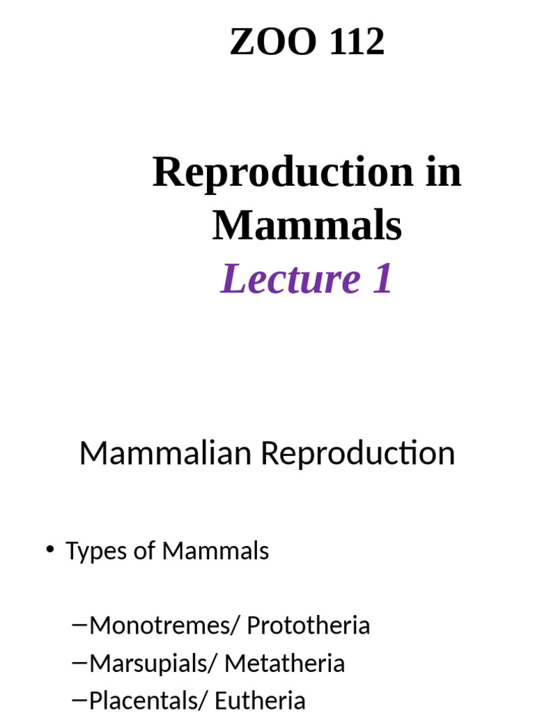 Zoo 112 Reproduction_in_Mammals, Lecture 1 | PDF | Mammals | Marsupials