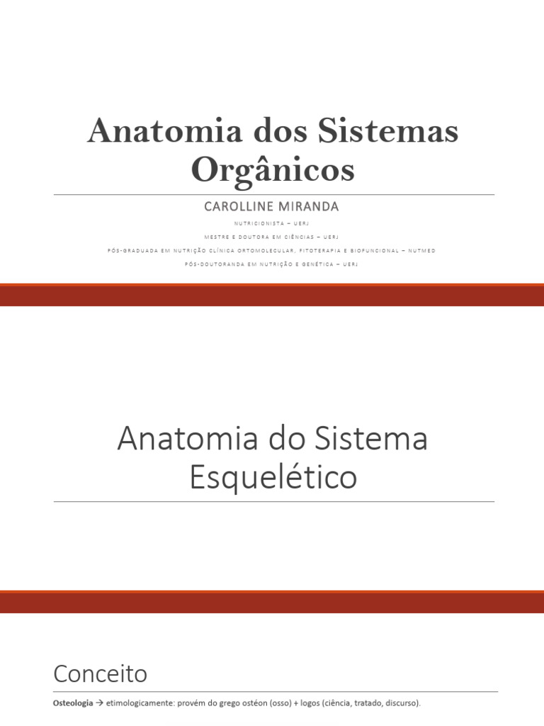 Aula 2 - Sistema Esquel Tico | PDF | Vértebra | Coluna vertebral