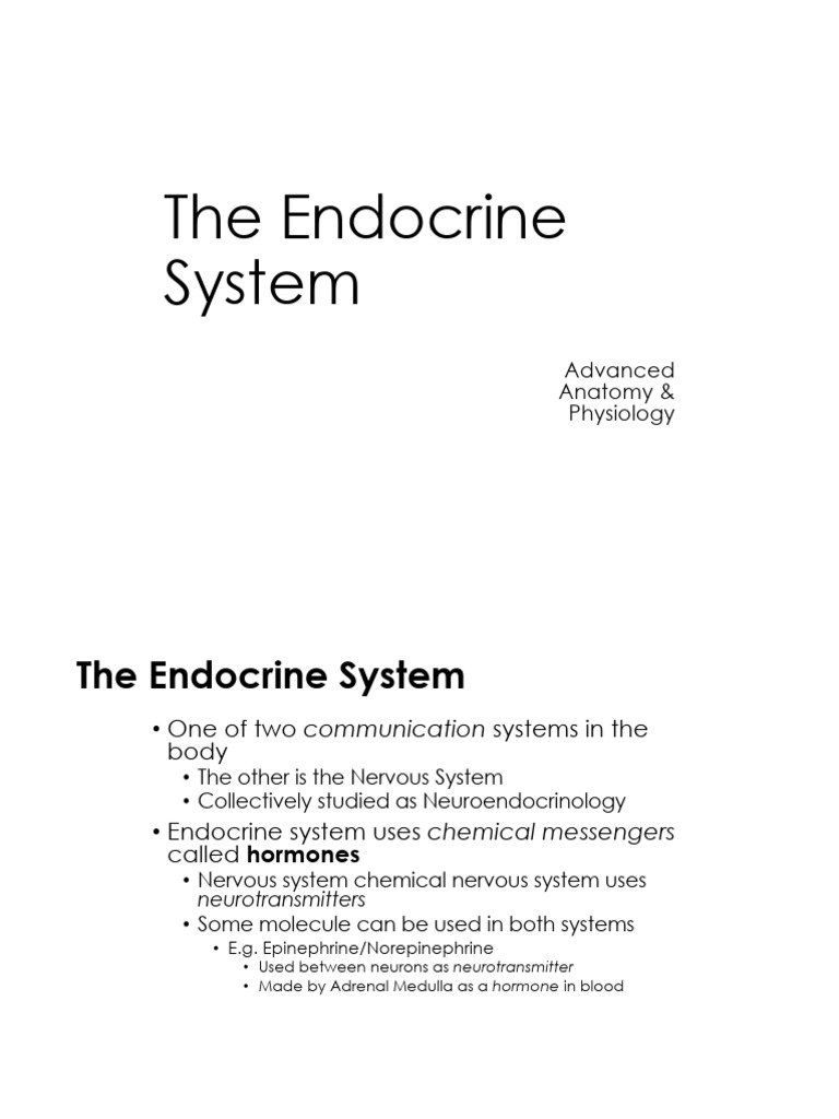 Endocrine System: Hormones & Mechanisms | PDF | Hormone ...