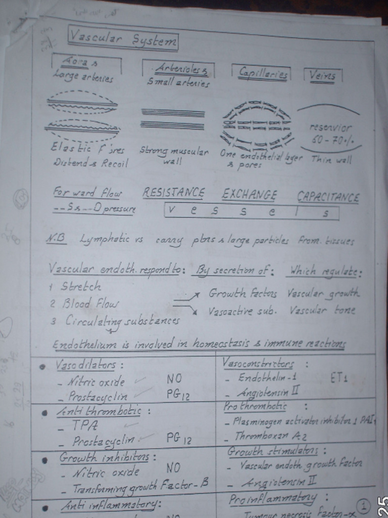 Vascular - Diagrams | PDF