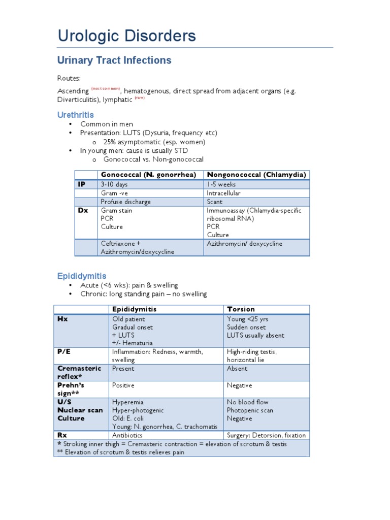 Urologic Disorders: Urinary Tract Infections | PDF | Genitourinary ...