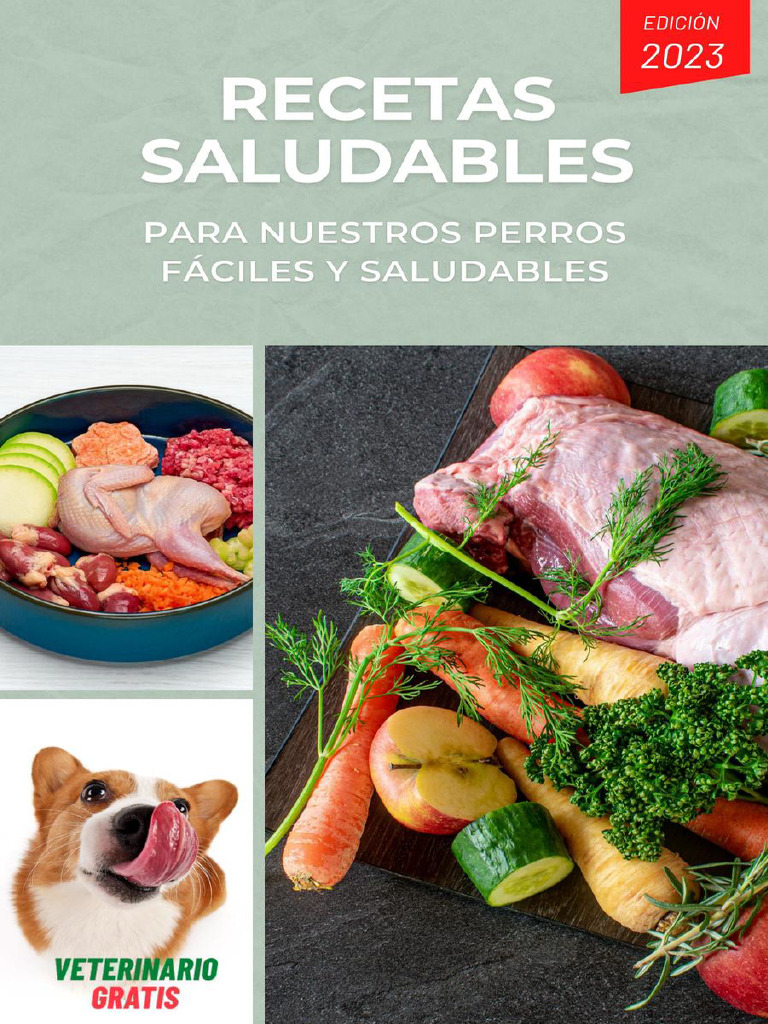 Pdfcoffee.com eBook Recetas Vol1 PDF 4 PDF Free | PDF