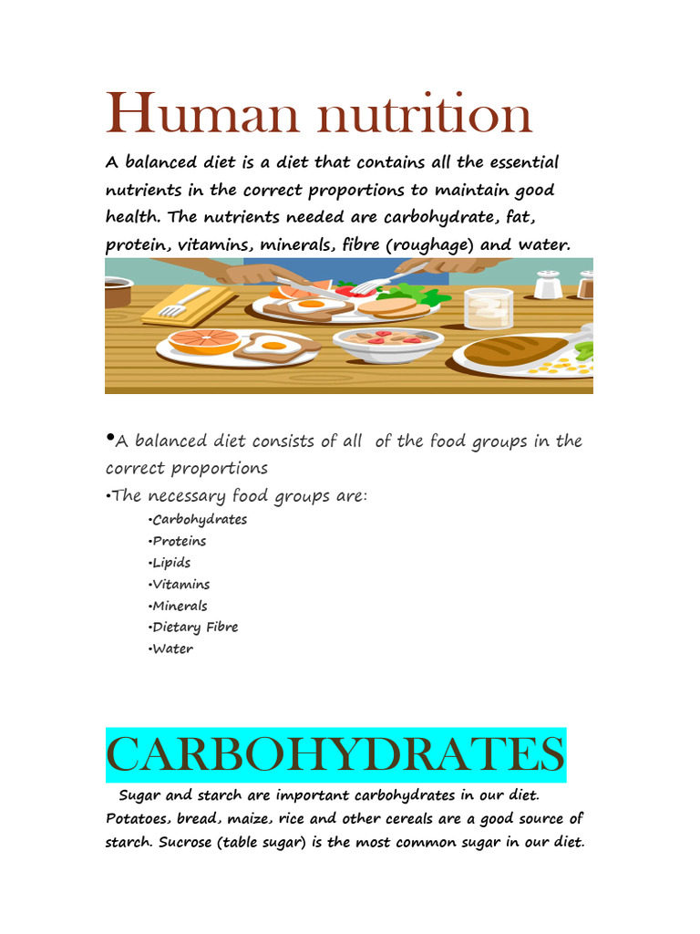 Human Nutrition Summary | PDF | Digestion | Carbohydrates
