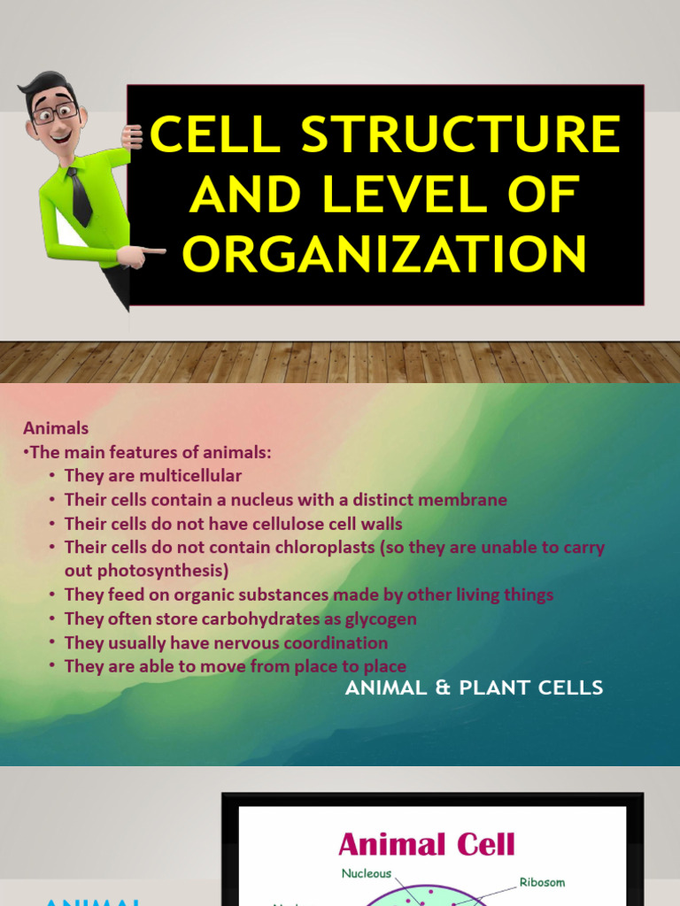 Cell Specialization in Animals and Plants | PDF | Cell (Biology ...