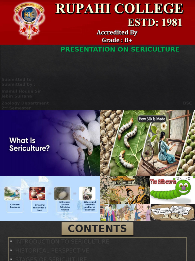 Sericulture Presentation by Jebin Sultana (1) | PDF | Silk | Pupa