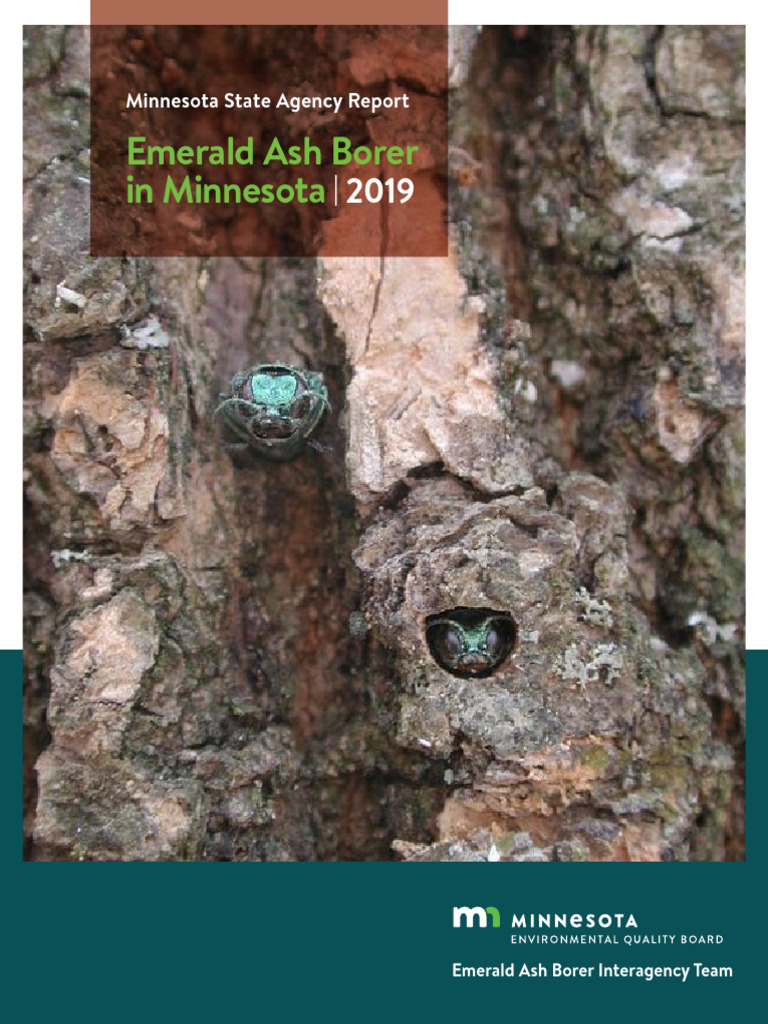 Minnesota's Emerald Ash Borer Report 2019 | PDF | Earth Sciences ...