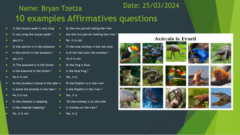 Affirmative Question Examples in English | PDF