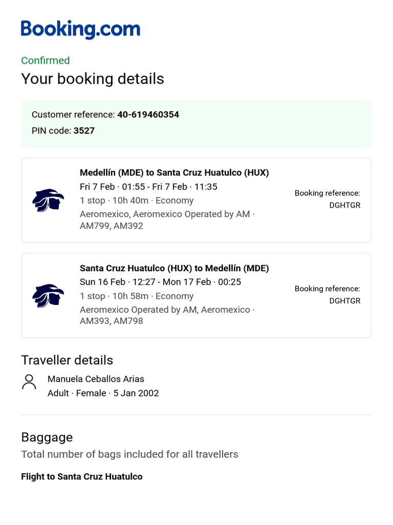 Boleto de Salida | PDF