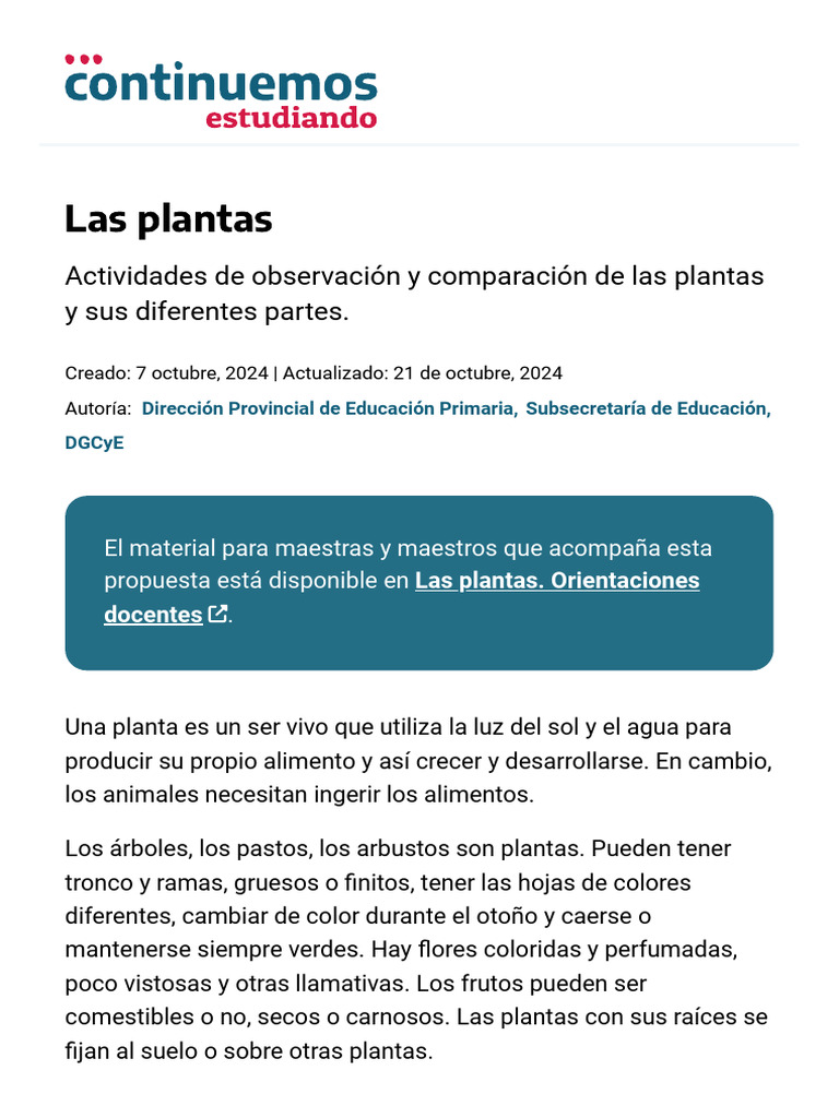 Cambios en las plantas durante el año | PDF | Raíz | Hoja