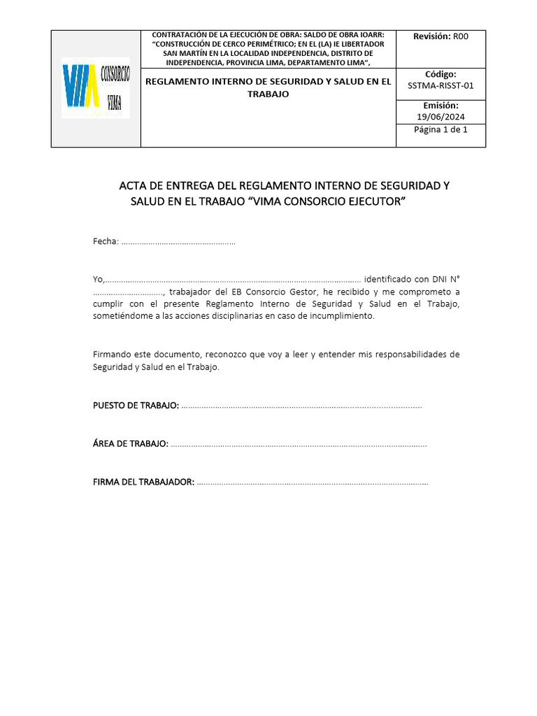 FORMATO DE ENTREGA DE RISST | PDF