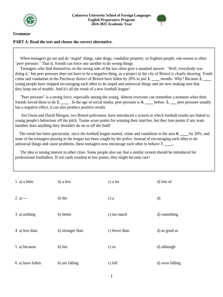 Contextual Grammar and Vocabulary | PDF | Adolescence