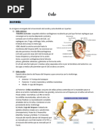 Anatomia de La Audicion | PDF | Hueso | Membrana mucosa