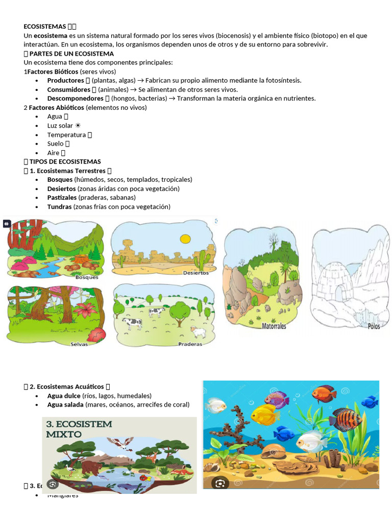 ECOSISTEMAS_??[1] | PDF | Ecosistema | Biogeografia