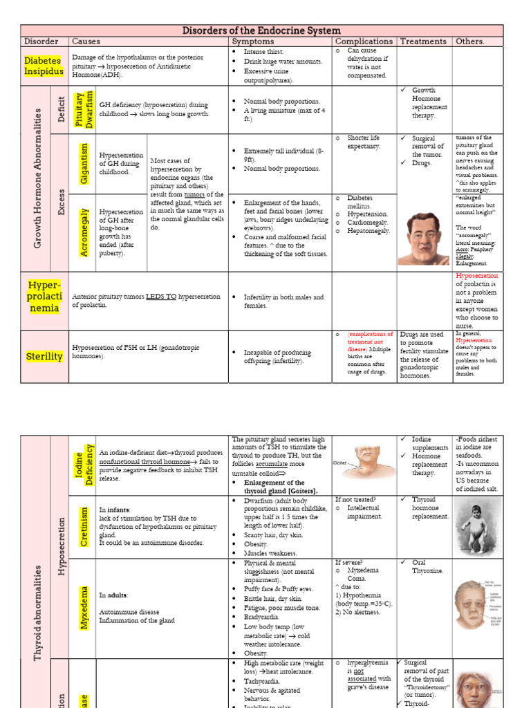 Endocrine System Disorders Overview | PDF | Adrenal Gland | Thyroid