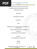 Nicsp 17 | PDF | Depreciación | Beneficio (economía)