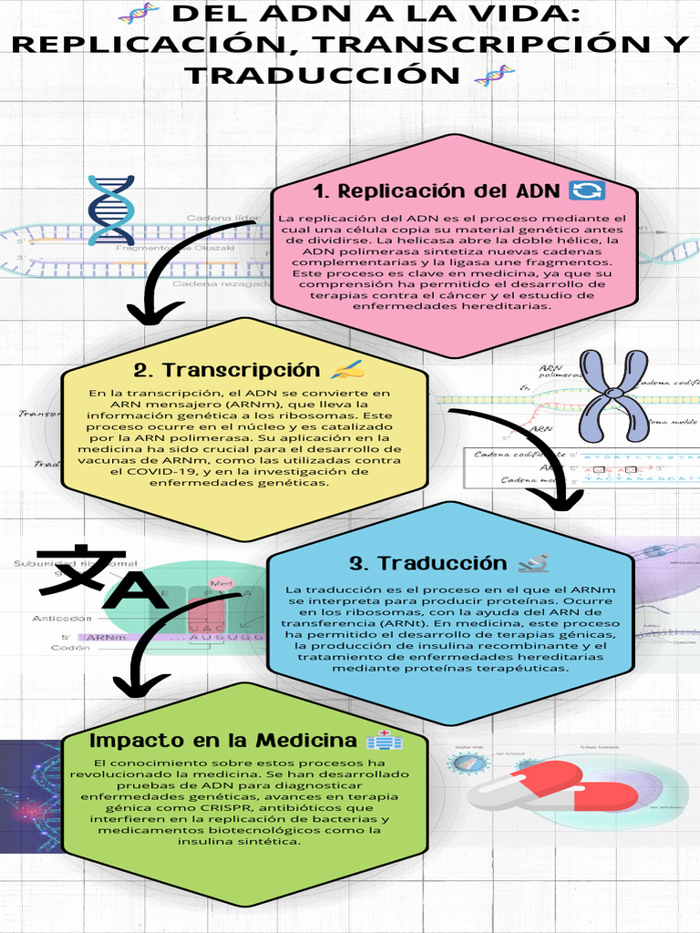 Infografia Grafico Proceso Pasos Orden Doodle Multicolor | PDF