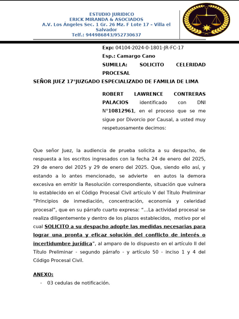 Celeridad Procesal | PDF | Justicia | Crimen y violencia