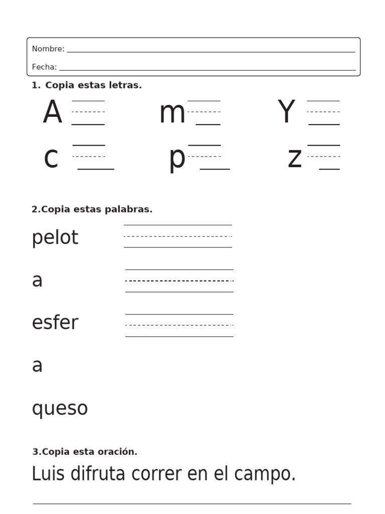 Evaluacion Del Proceso de Lectoescritura | PDF