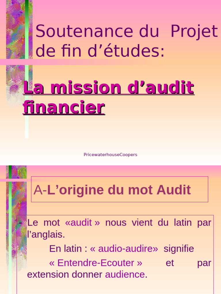 Projet Audit Financier | PDF | Audit financier | Audit