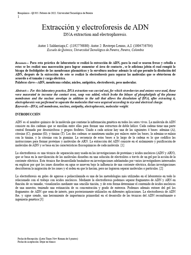 Extracción de ADN | PDF | Adn | Electroforesis