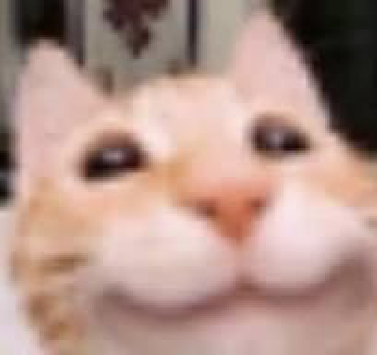 PDF_20250311_163516 | PDF