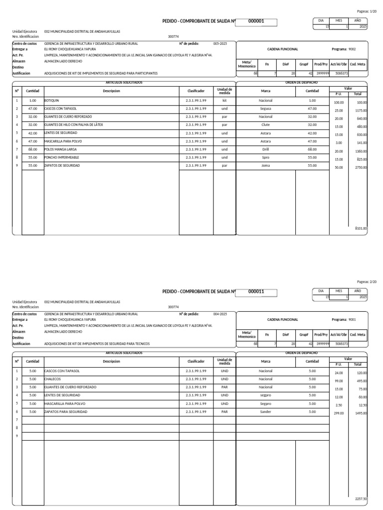 Formato de Pecosas 25 | PDF