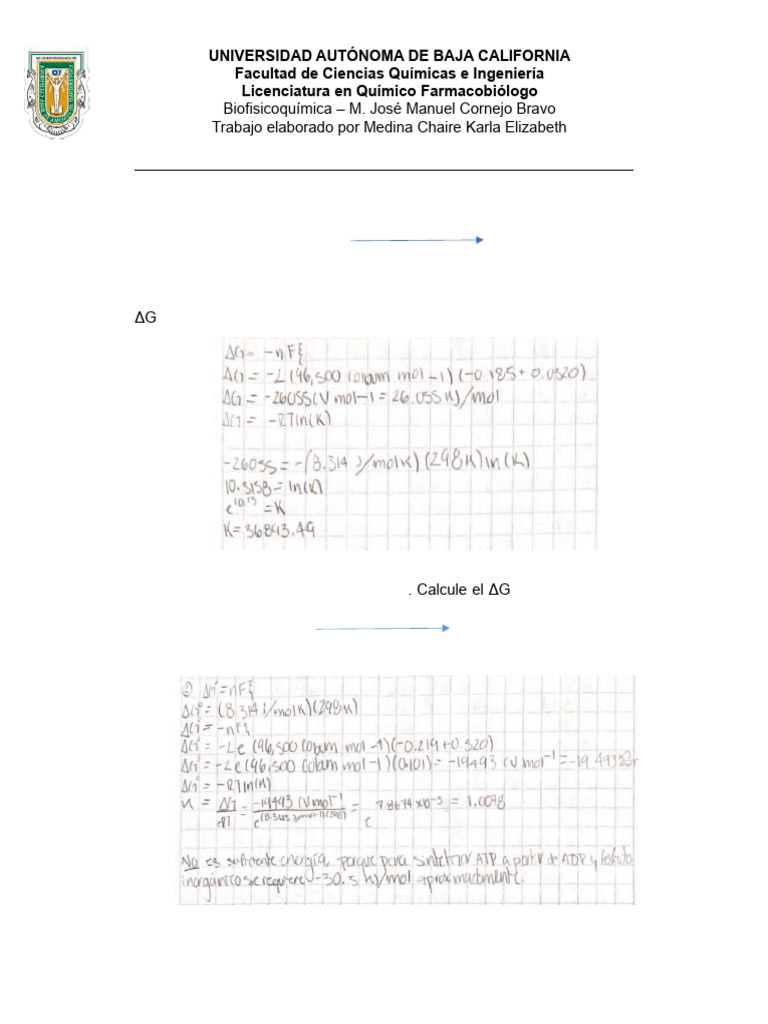m4.1 Ejercicios BFQ | PDF | Nicotinamida adenina dinucleótida | Trifosfato de adenosina