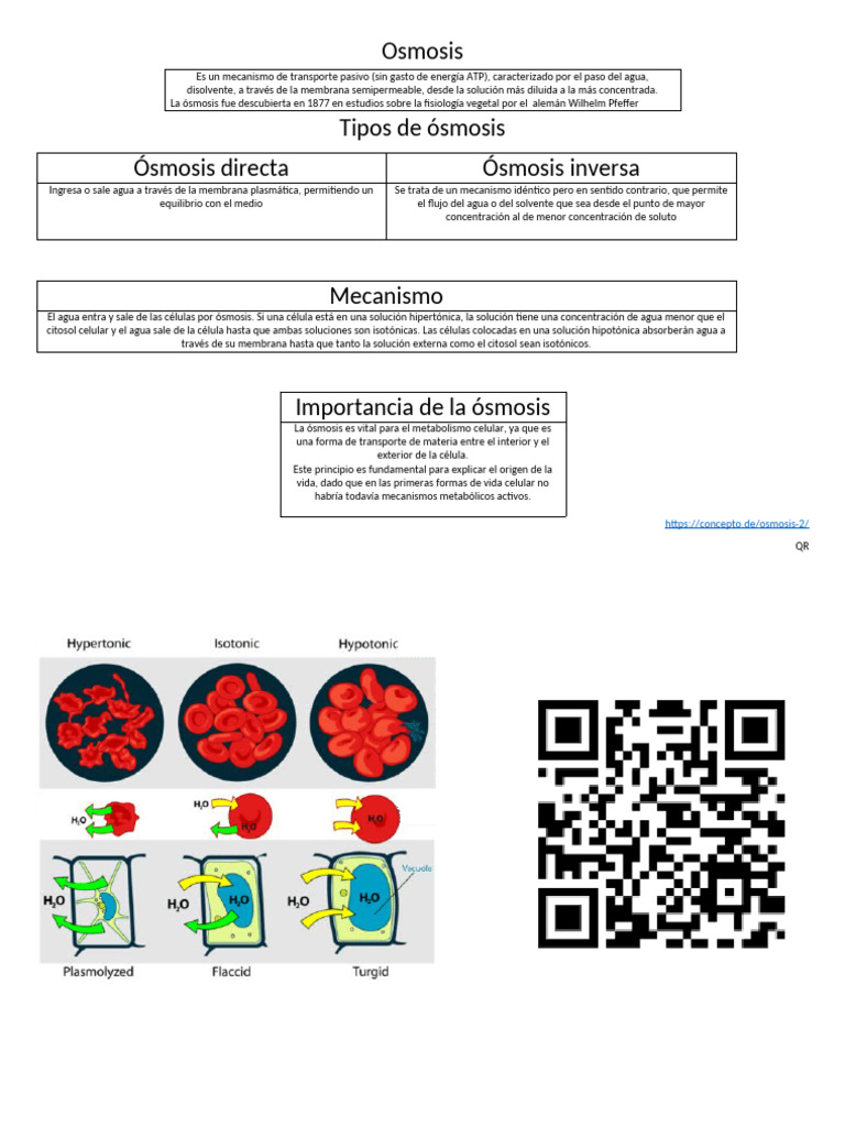 Tipos y Mecanismos de Ósmosis | PDF | Ósmosis | Bioquímica