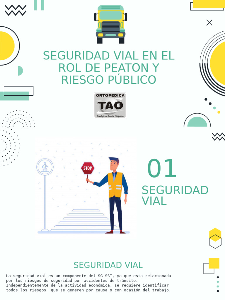 Seguridad Vial: Peatones y Riesgos Públicos | PDF | Seguridad vial ...