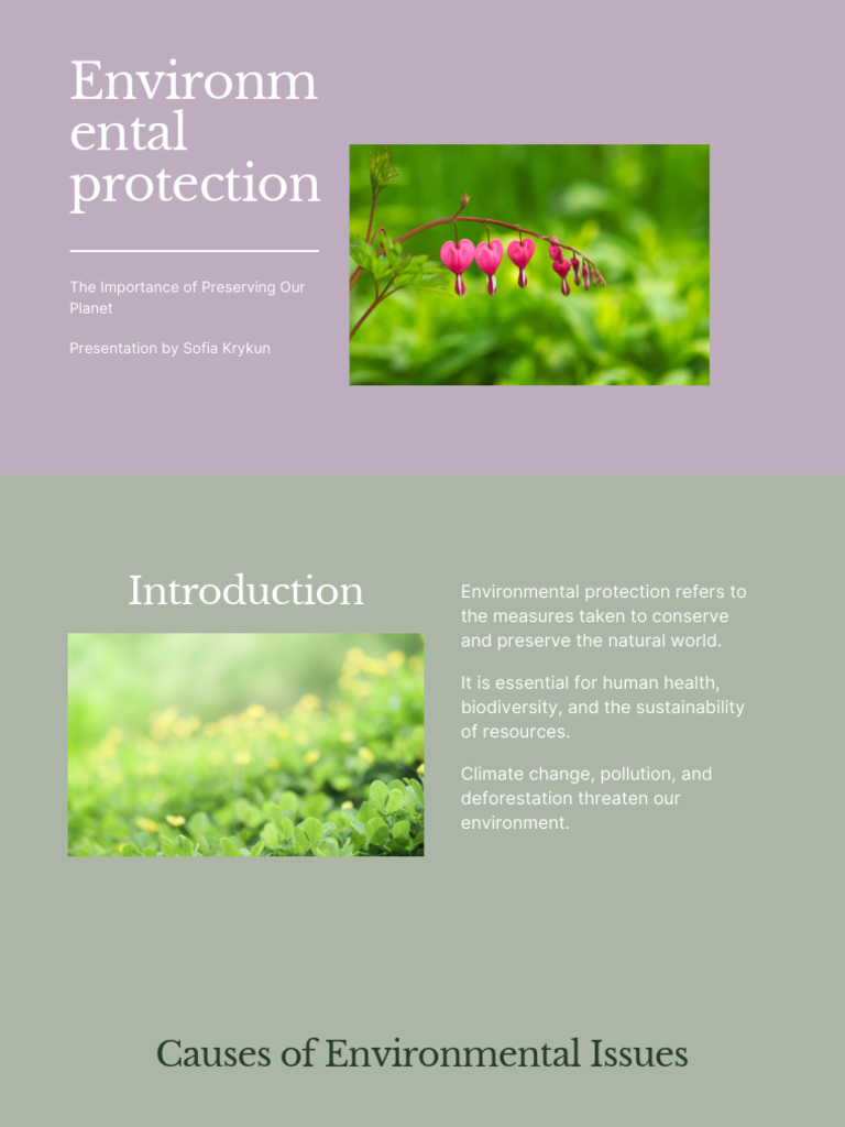 Environmental Protection | PDF | Climate Change | Natural Environment