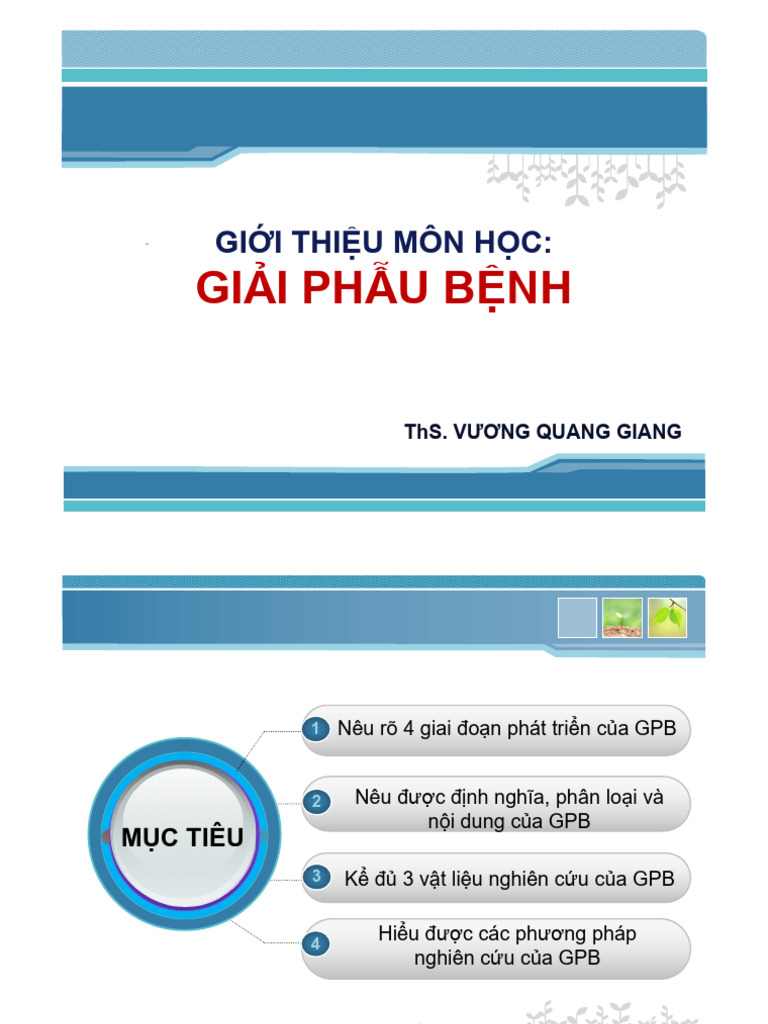GIỚI THIỆU VỀ GPB | PDF