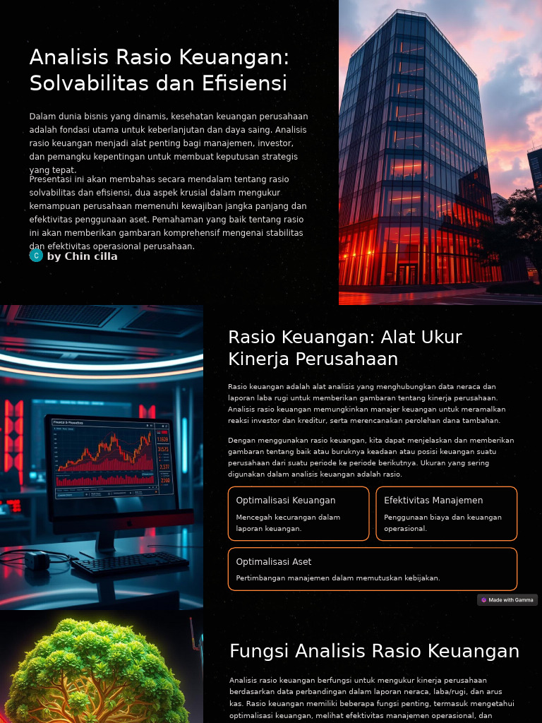 Analisis Rasio Keuangan Solvabilitas Dan Efisiensi | PDF