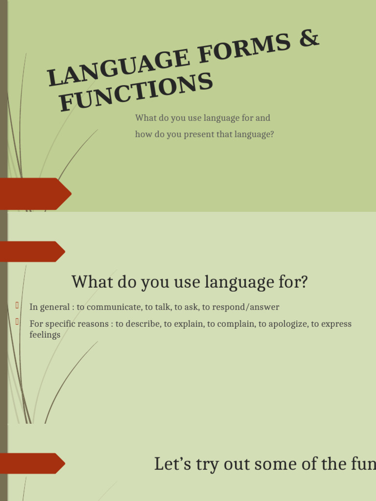 Language Forms Functions | PDF
