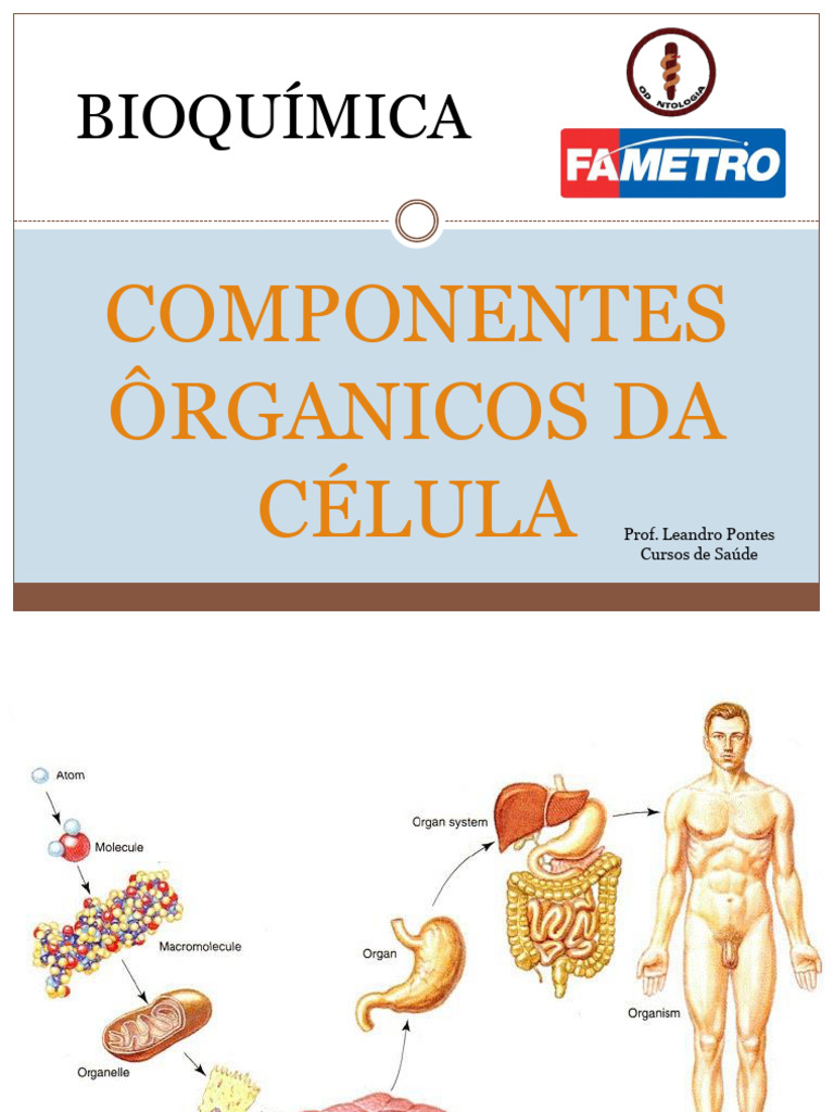 Aula - Componentes Orgânicos Da Célula | PDF | Carboidratos | Aminoácido