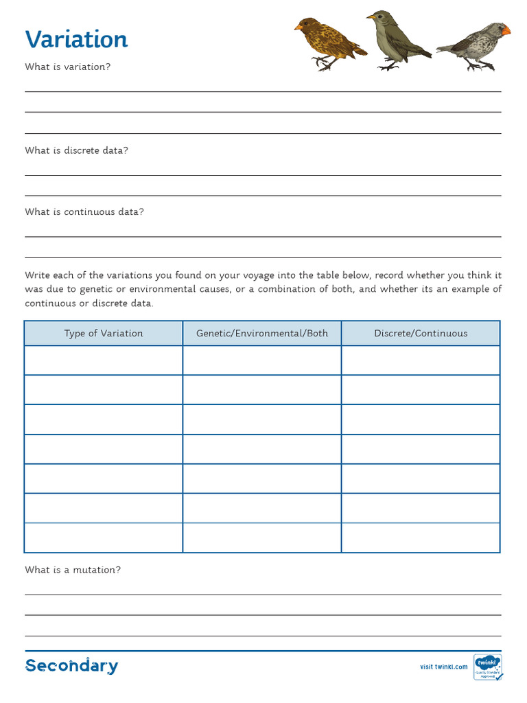 Variation Activity Sheet | PDF