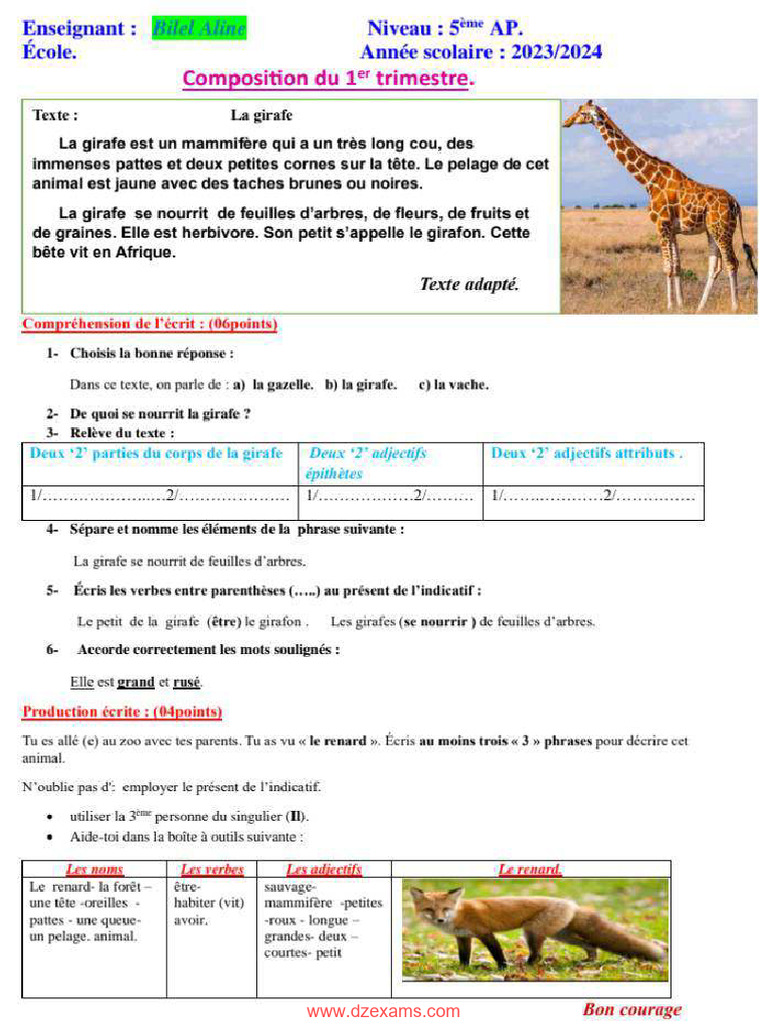 Dzexams 5ap Francais 155987 | PDF