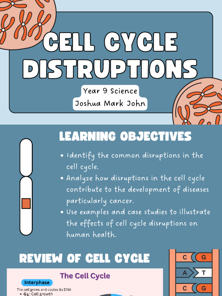 L7 Cell Cycle Distruptions | PDF | Cell Cycle | Dna Repair